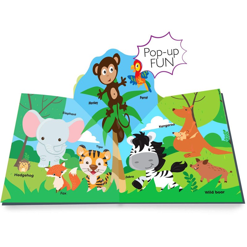 Pop-up Fun Book: Interactive Pop Up Book for Children – Snooplay