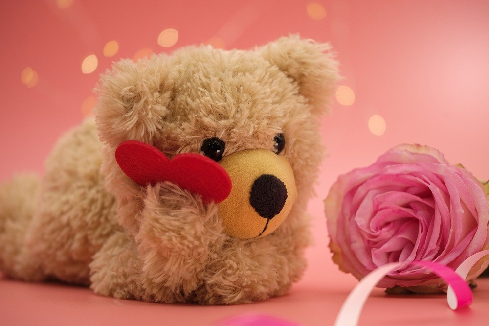 7 Adorable Teddy Day Gift Ideas for Your Loved One | Snooplay