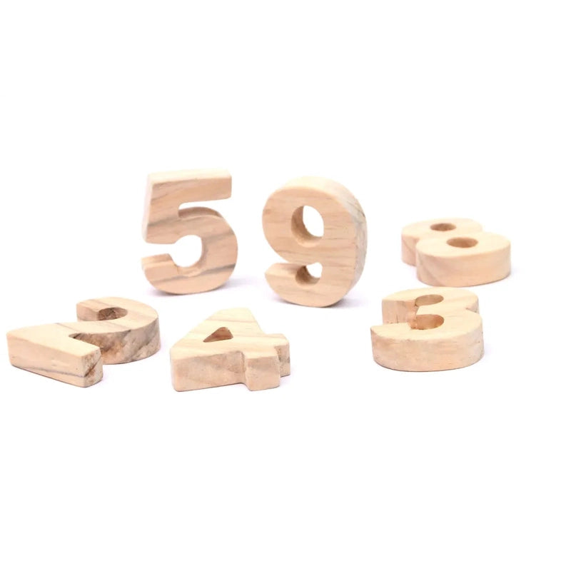 11 Pieces Educational Wooden Numbers (2-5 Years) – Snooplay