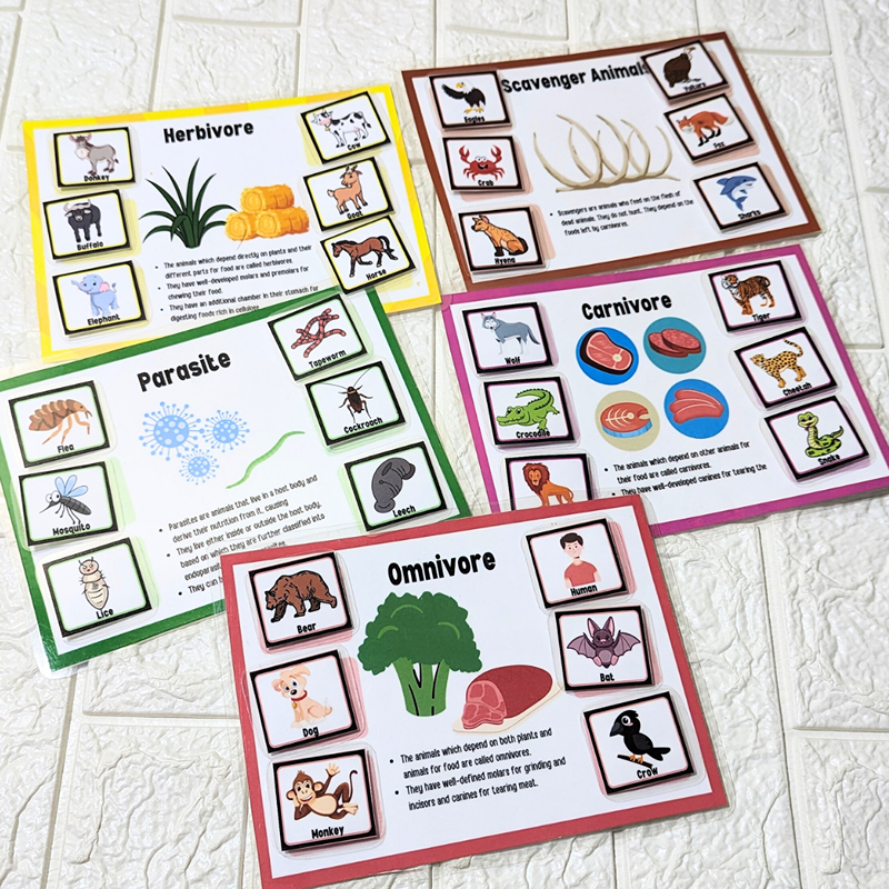 Buy Animal Classification Mats on Snooplay India