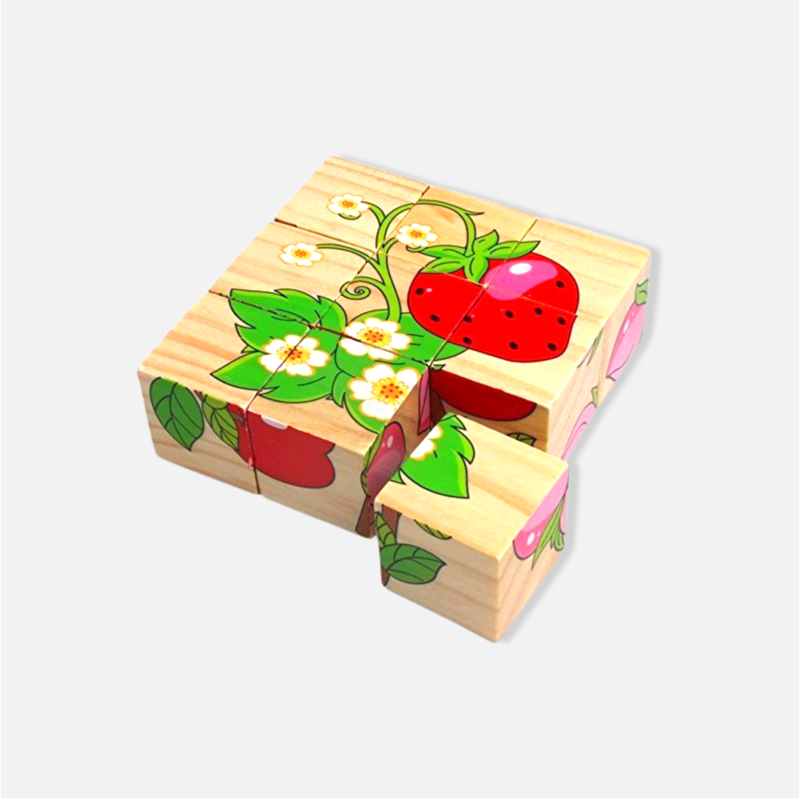 Buy 3D 6 Face Fruit Block Puzzle on Snooplay India