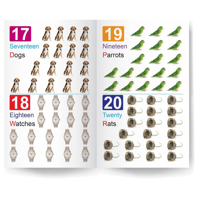 My Small Laminated Book - Number Books For Kids – Snooplay