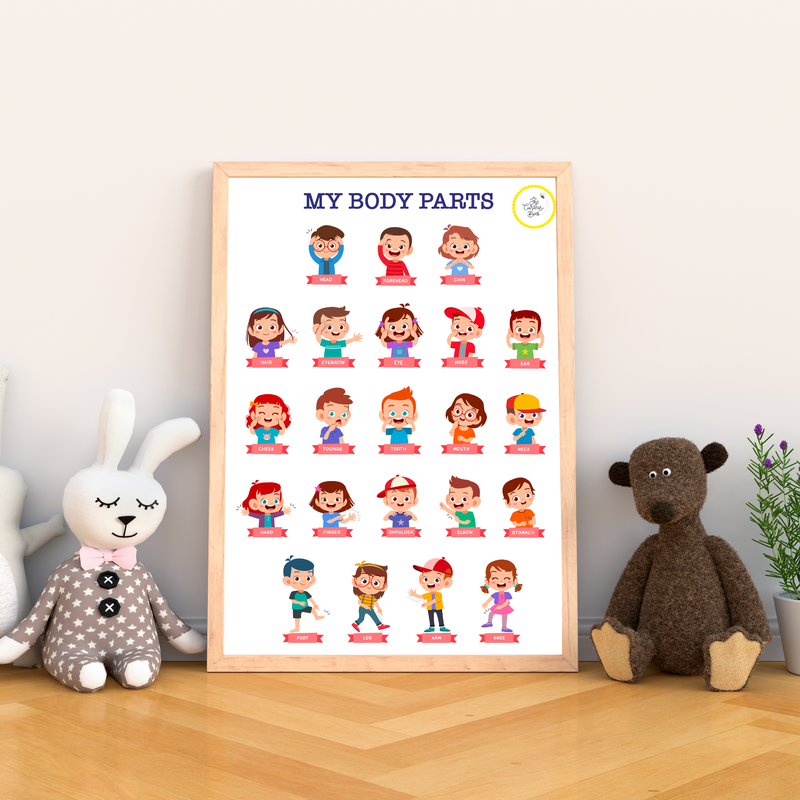 Body Parts Poster for Kids – Snooplay