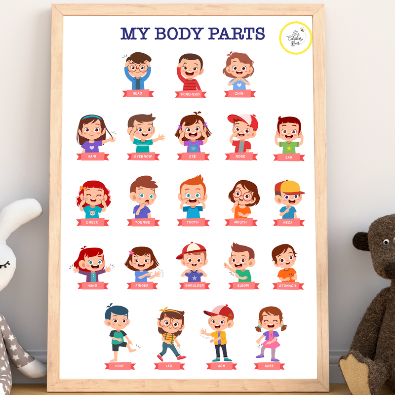 Body Parts Poster for Kids – Snooplay