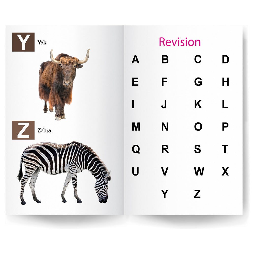 Buy My Small Laminated Alphabet Book (2-5 Years) on Snooplay India