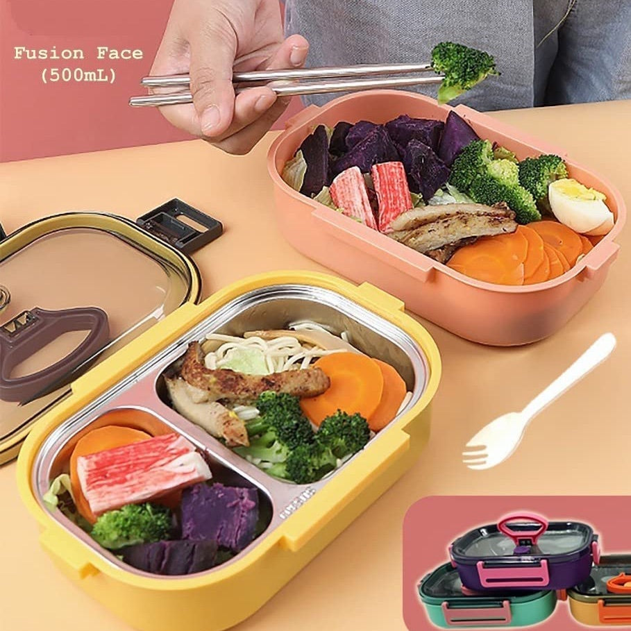 Lunch Box 2 Compartment Insulated Lunch Box Stainless Steel Tiffin Box ...