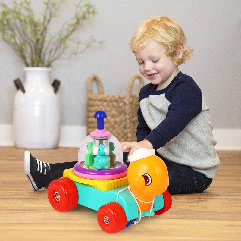 Merigo Spinning Turtle (Assorted Colours) – Snooplay