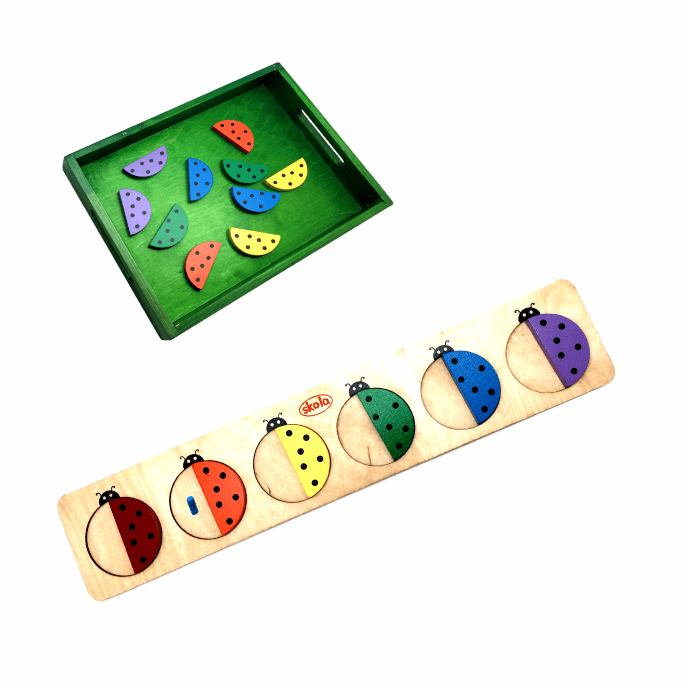Buy Coloured Beetles - Wooden Board on Snooplay Online India