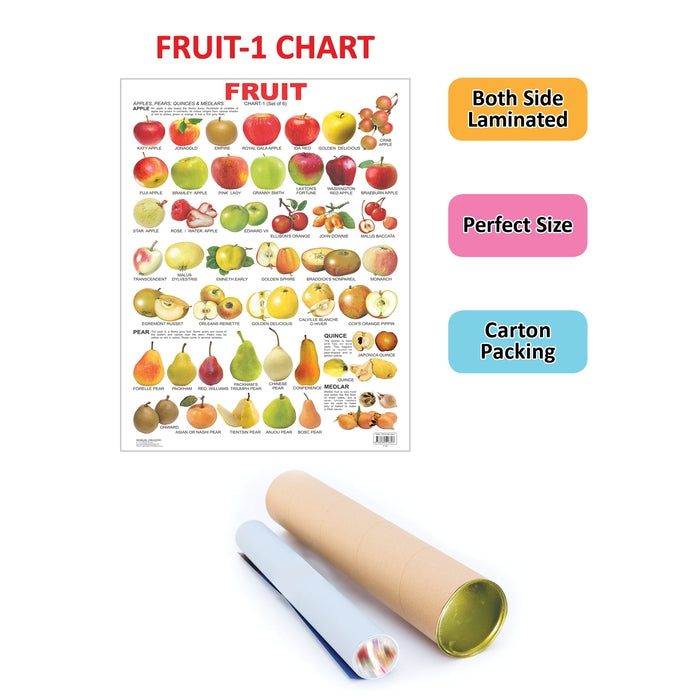 Buy Fruit Wall Chart - 1 (2-5 Years) on Snooplay India
