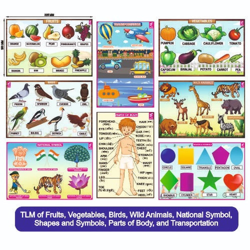 Buy TLM Kit - Set of 8 items | Fruits, Vegetables, Animals ...